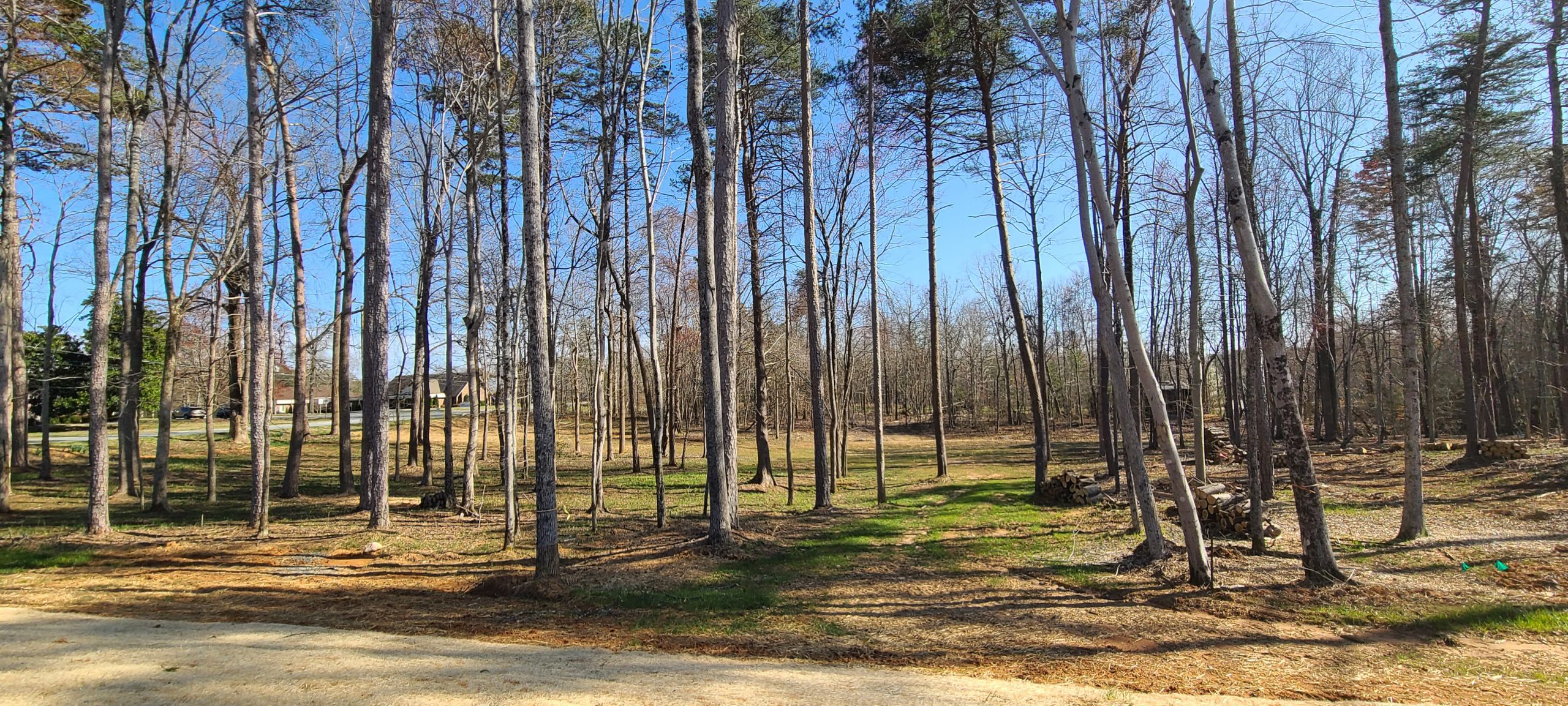 Gallery - The Hermitage of Summerfield